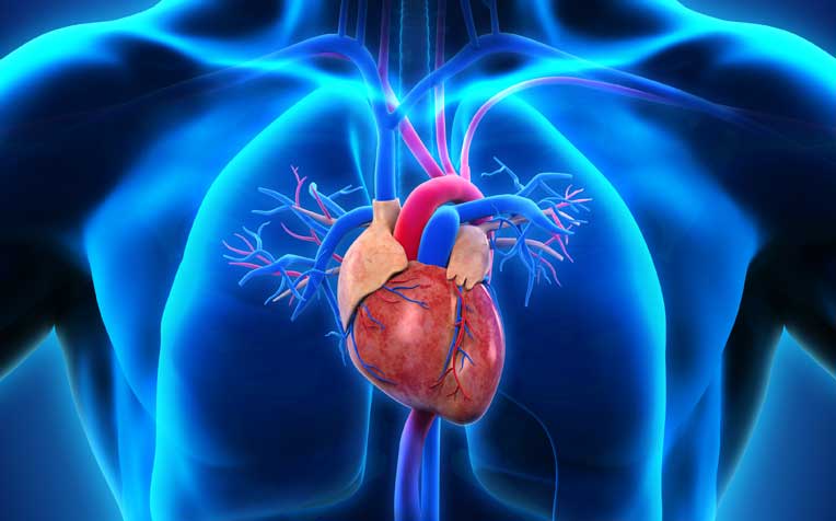 Cardiomyopathy Heart Muscle Disease | Malaysia | Red Cover